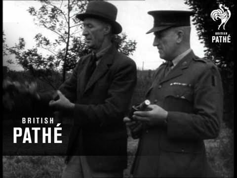 On Guard - Home Guard Aka Australian Home Guard (1940) - YouTube