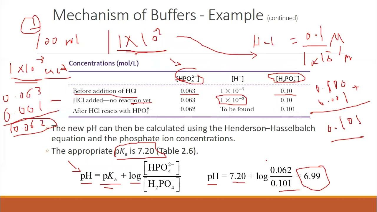 biochemistry chapter 2 water and buffer part 3 - YouTube