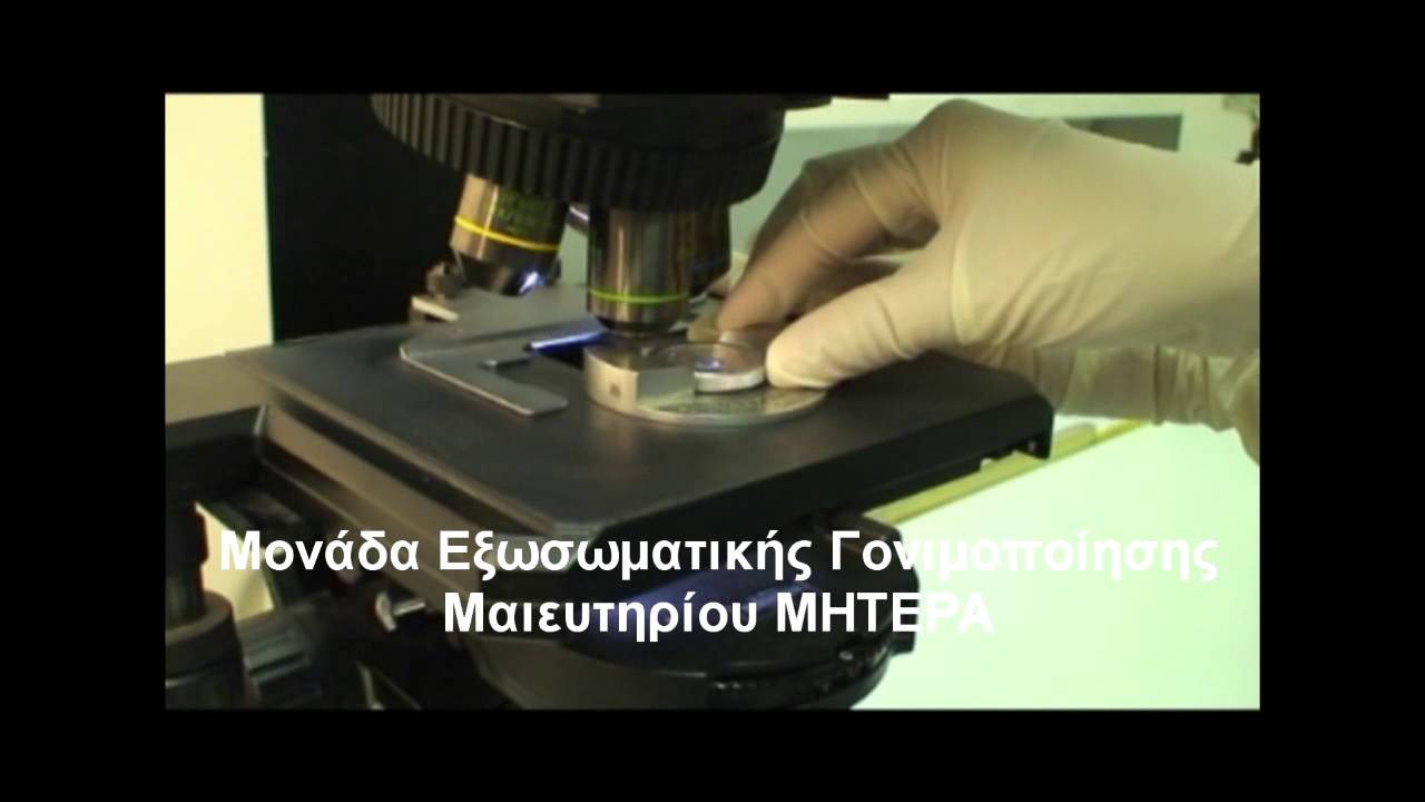 Επεξεργασία σπέρματος στο εργαστήριο - YouTube