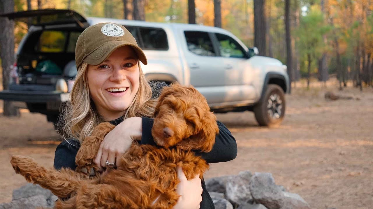 State of the Channel | Tessah Booth - Learn Along With Me - YouTube