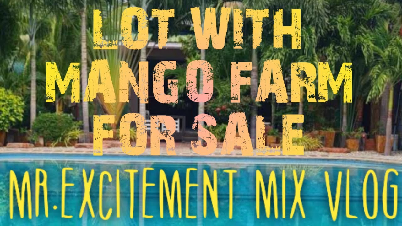V#20 Farmlot and mango farm for sale @mr.excitementmixvlog - YouTube