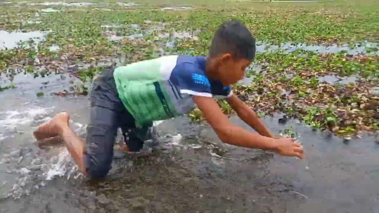 Skilled hand fishing method. skilled boy catch big fish by hand from ...