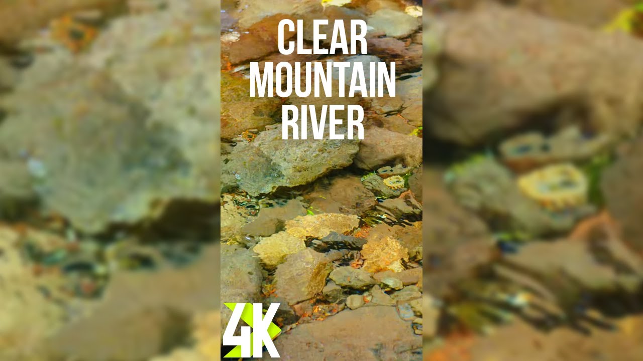 Crystal Clear River - Relaxing Screensaver for Vertical Screens - 4K ...