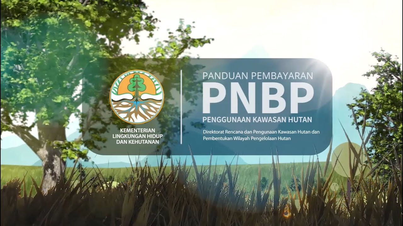 Pedoman Pembayaran PNBP PKH - YouTube
