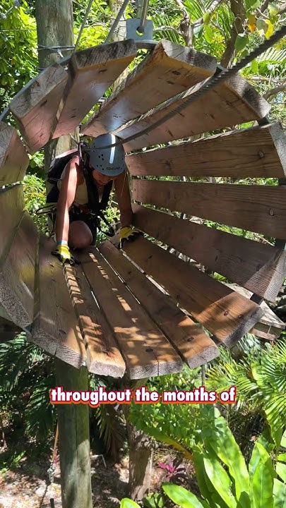 Unleash Your Inner Adventurer: Treetop Trekking in Miami, Florida! - YouTube
