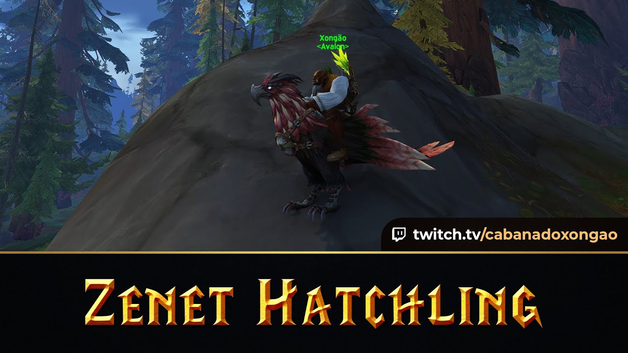 Zenet Egg - Zenet Hatchling - YouTube