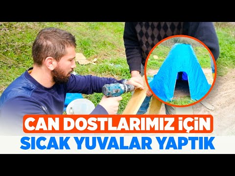 Tek İstedikleri Sıcak Bir Yuva Ve Biraz Mama.. | @Sevpati | Adem Kılıççı