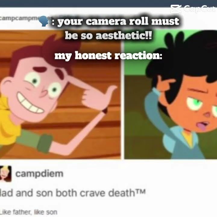 My camera roll has the insanest stuff 😭 (Meme) - YouTube