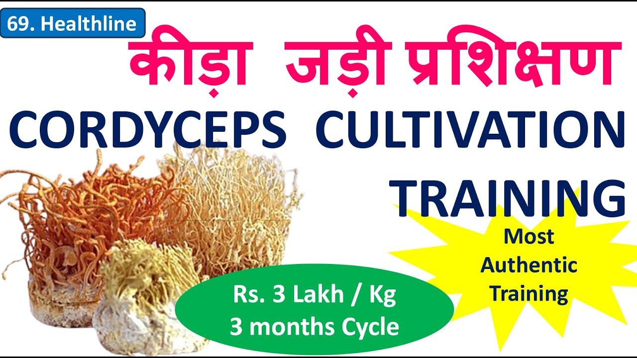 Cordyceps militaris Training | Cordyceps Training Center in India ...