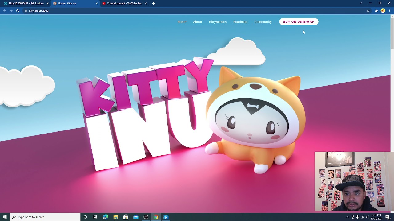 KITTY INU TOKEN REVIEW (GEM) 100x OR 1000? NEXT SHIBAINU - YouTube