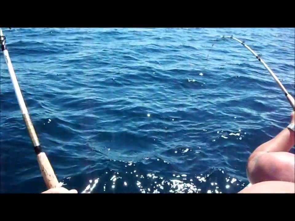 PESCA DEPORTIVA DE ALTAMAR - MAR DEL PLATA - ARGENTINA - YouTube