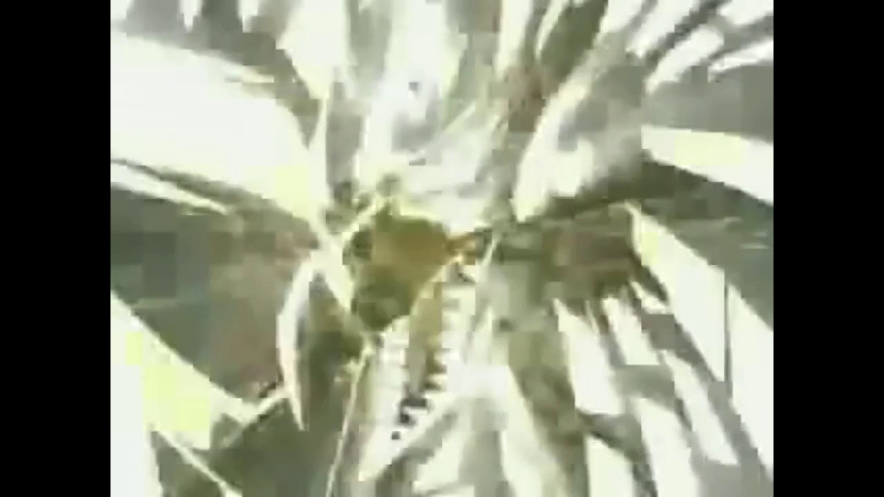 ARISE MEGA ULTRA CHICKEN!! - YouTube