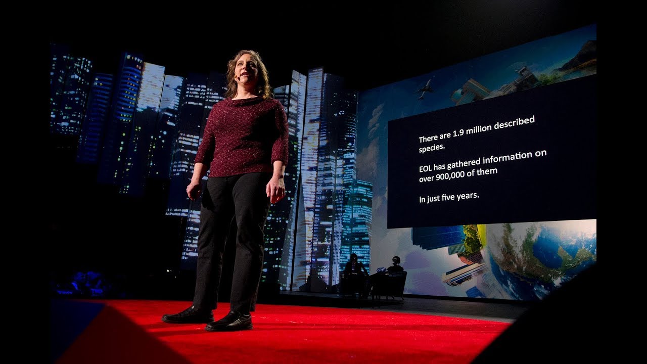 Building the Encyclopedia of Life | Cyndy Parr - YouTube