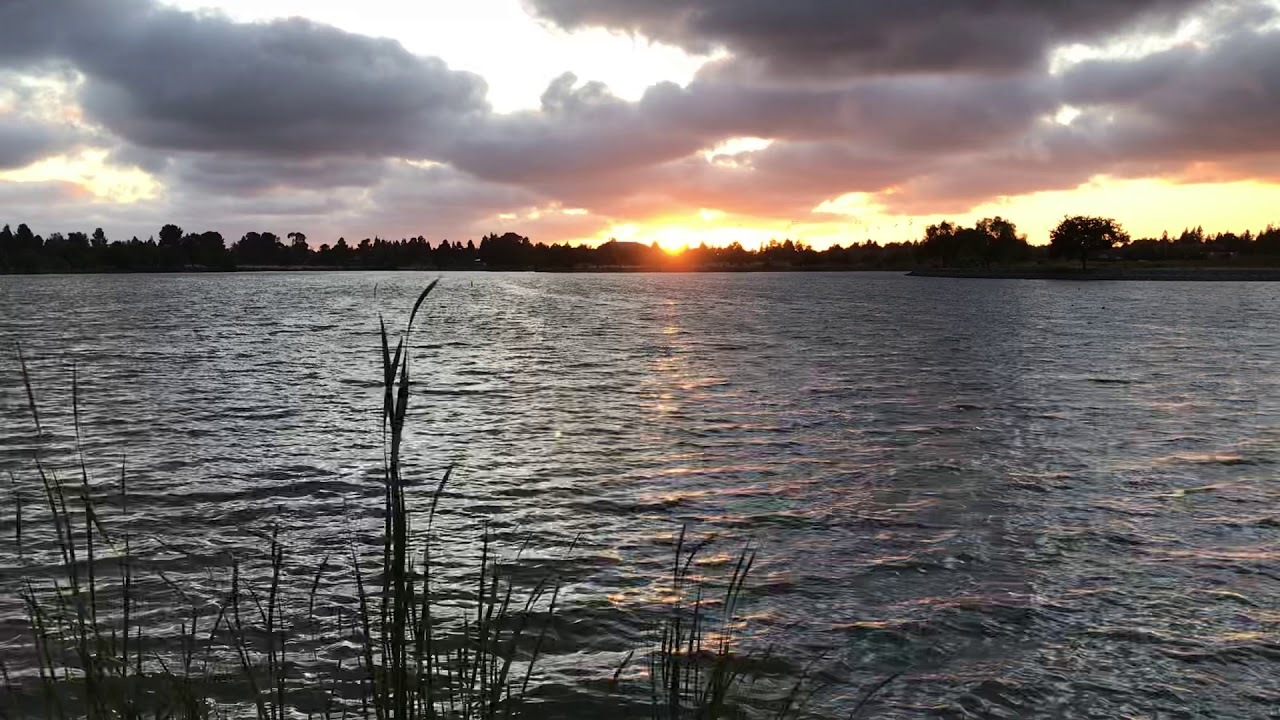 Green Screen sunset at lake zoom virtual background - YouTube