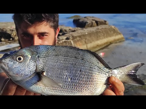 İstanbul Kıyıdan Balık Avı Meraları !! SORU CEVAP BÖLÜM 2