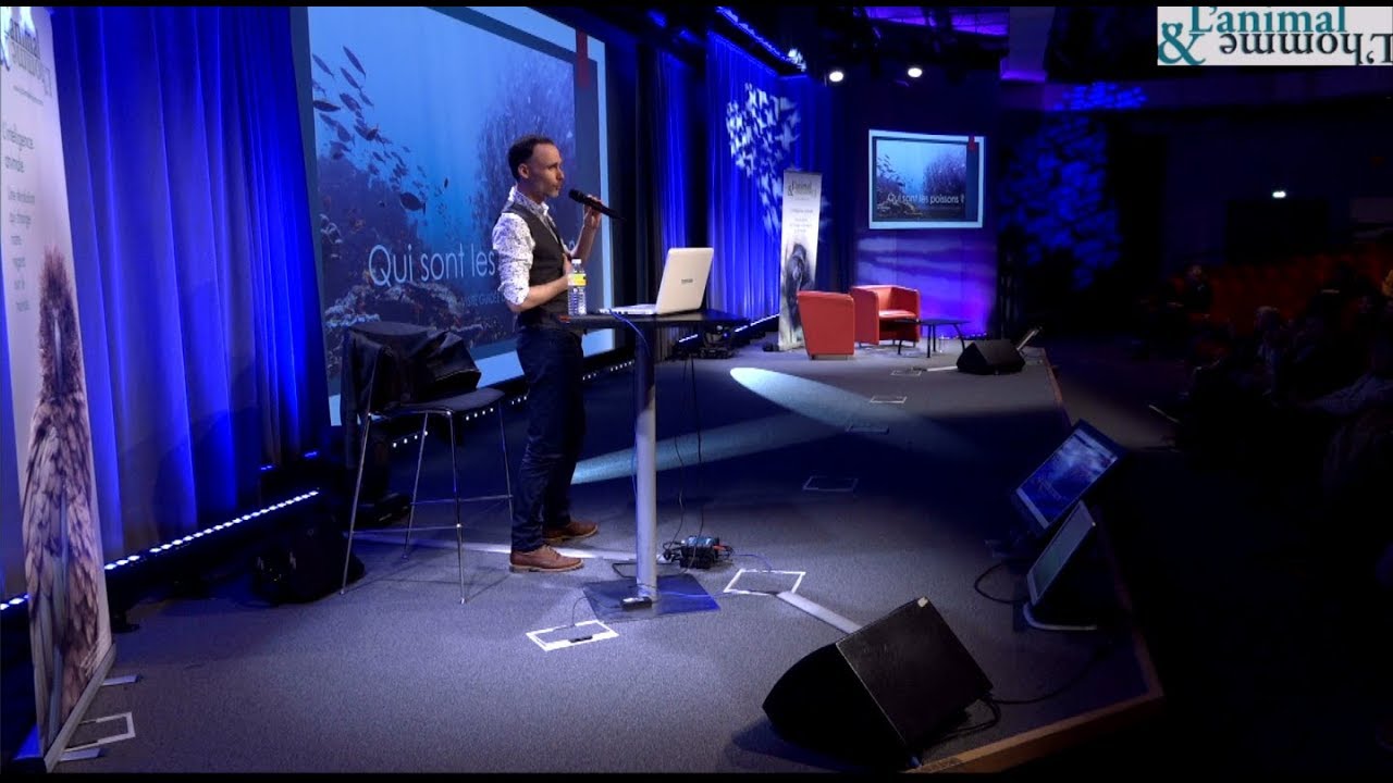 Conférence de Sébastien Moro : Qui sont les poissons? - YouTube