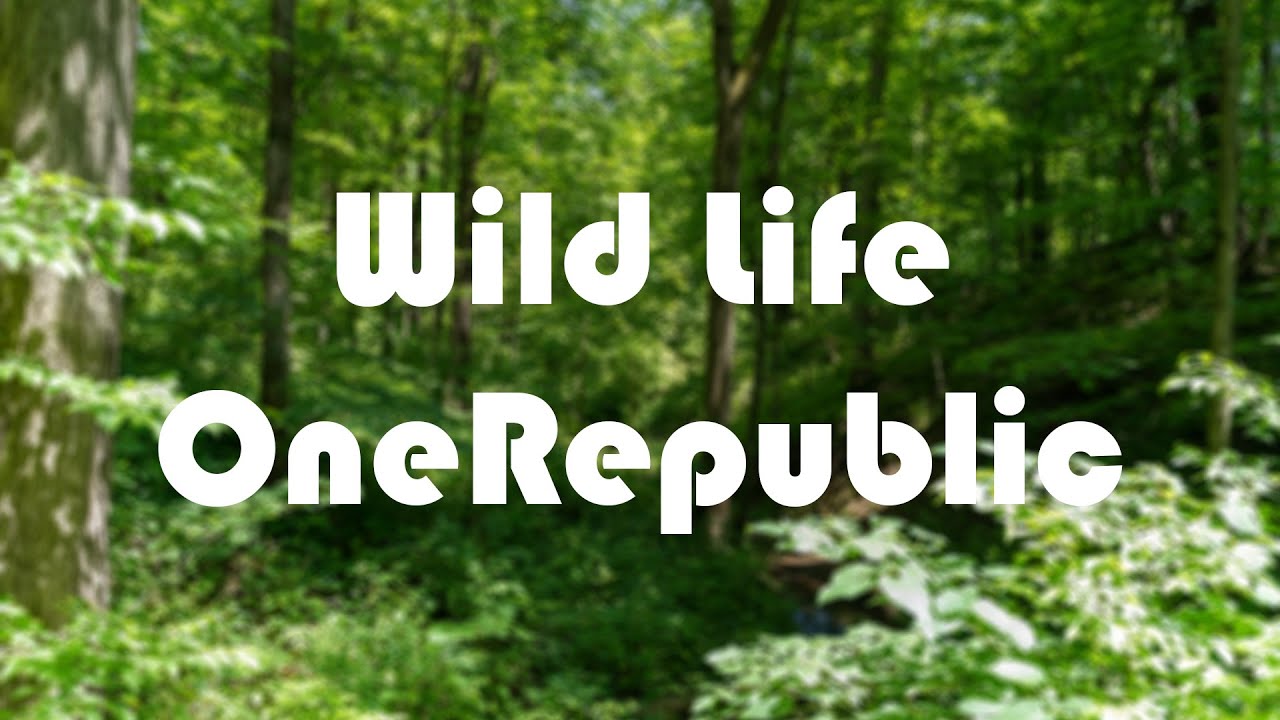Wild Life - OneRepublic (Unofficial Music Video) - YouTube