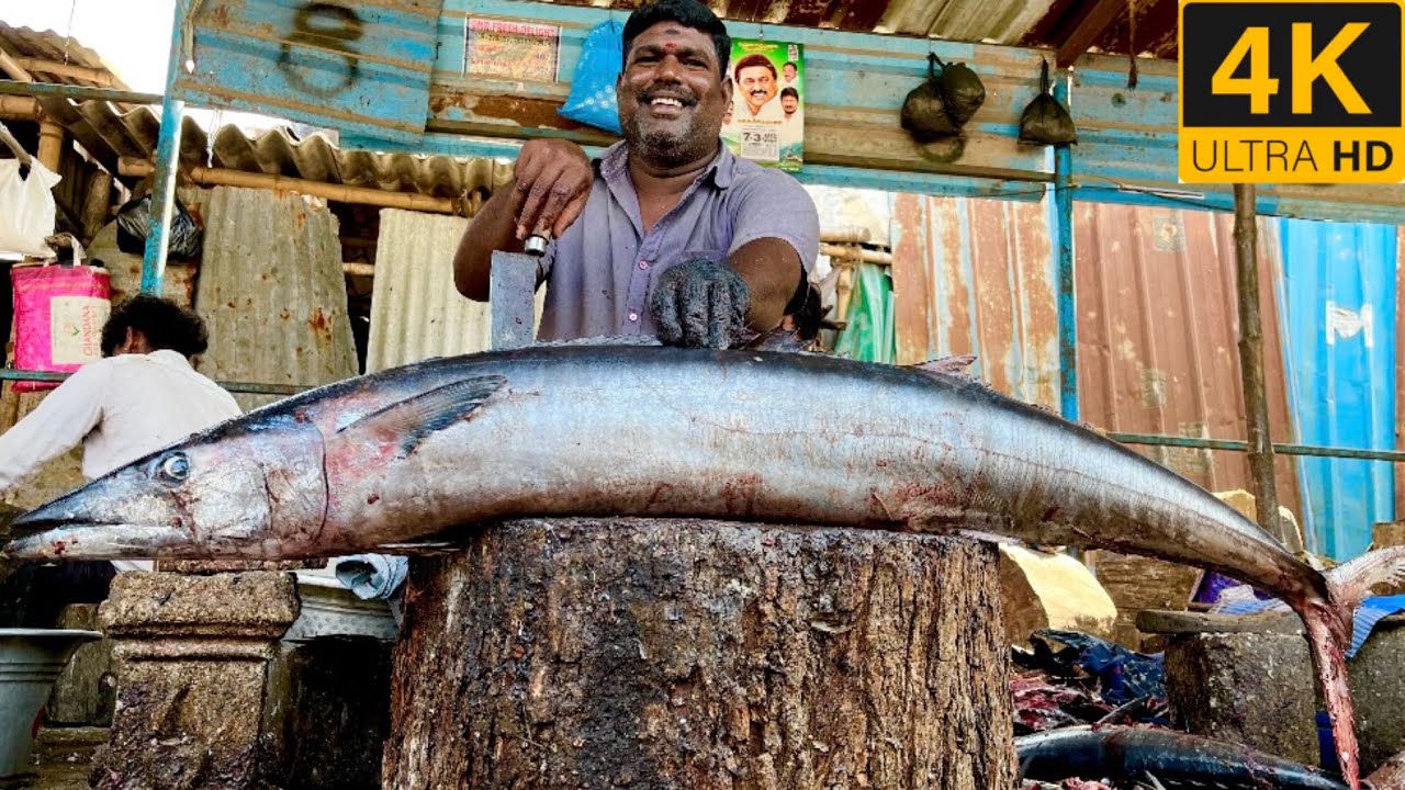 Ara kola fish cutting video/fishcuttingrs#fish #fishcuttingrs #kasimedu ...