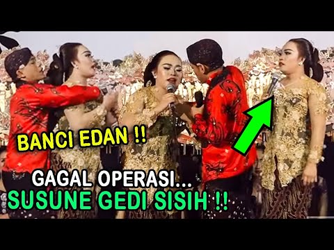Percil Cs + Manohara : Percil karo Kuntet petuk Banci edan wk..wk..