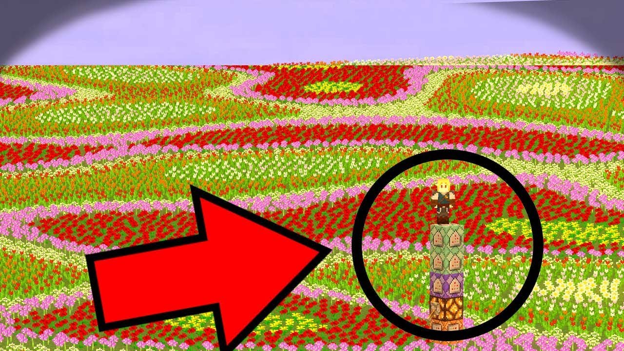SEGREDO BIOMA DAS FLORES - Minecraft - YouTube