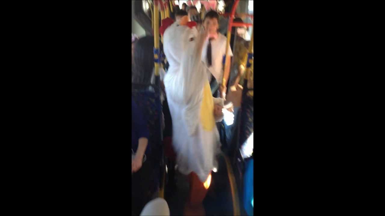 harlem shake by the coolest animals in the zoo! - YouTube