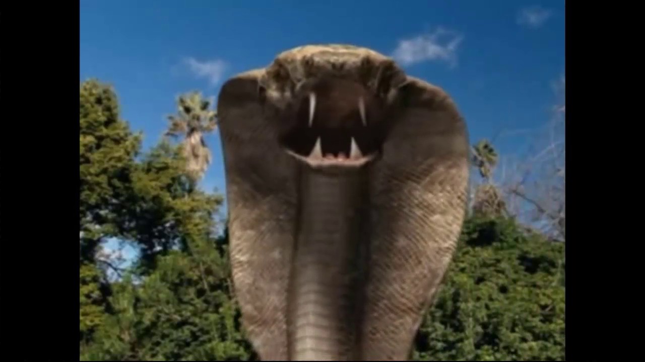 syfy creatures music video tribute #6 - YouTube