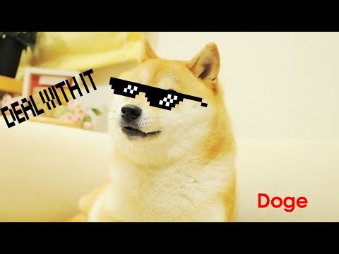 STREAMING SAMBIL NUNGGU CHAMPION PREN