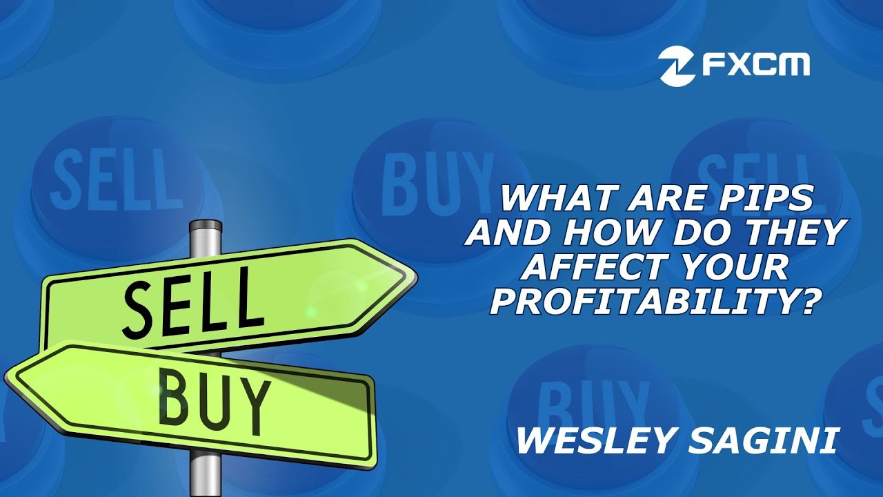 What Are Pips and How Do They Affect Your Profitability? | Forex ...