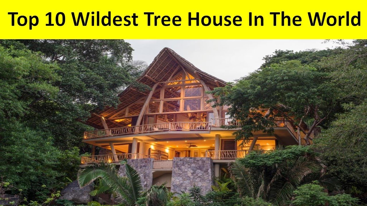 Top 10 Wildest Tree House In The World - YouTube