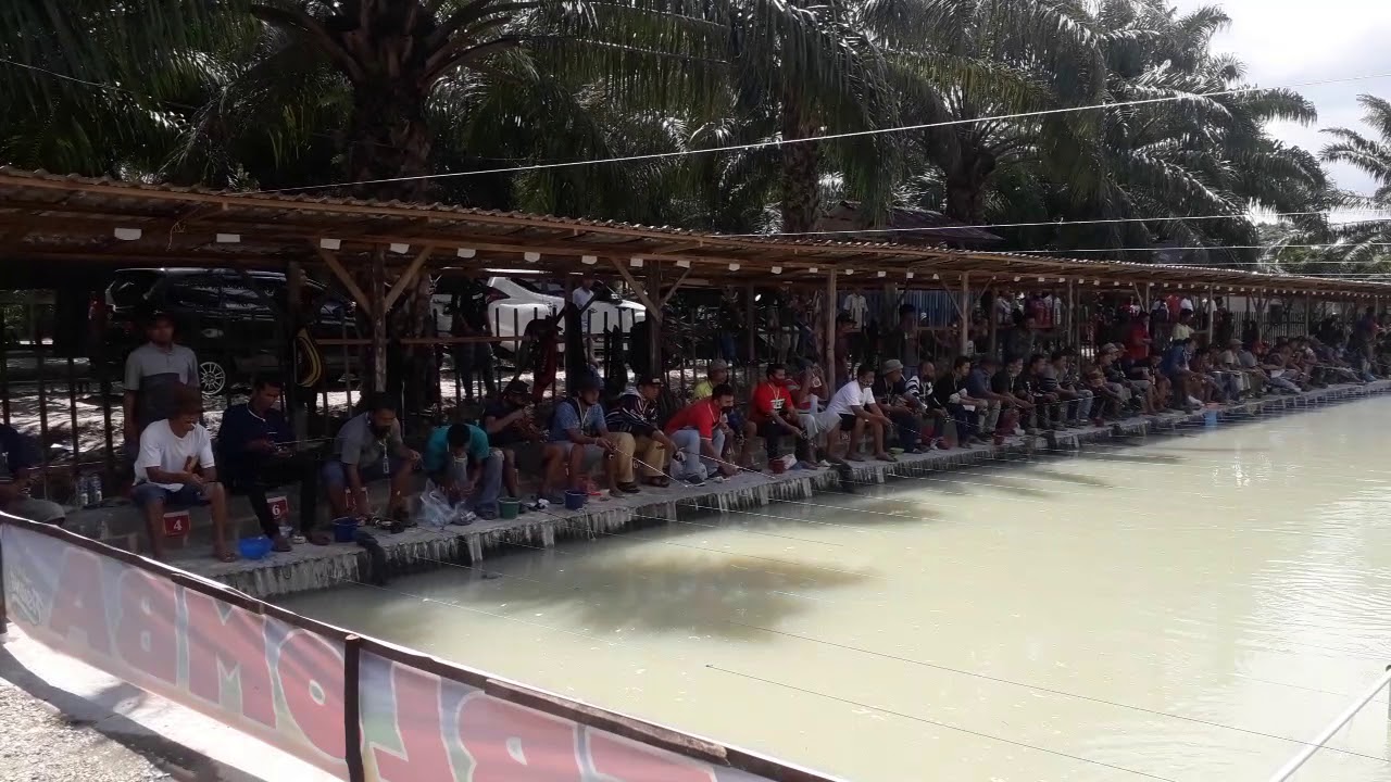 Kolam pancing Mitra Jaya Kubang Raya Pekanbaru ( 05072020 ) - YouTube