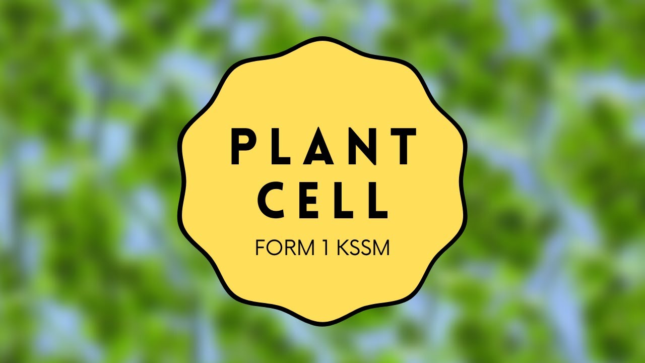 Plant Cells and their Functions | Science Form 1 KSSM - YouTube