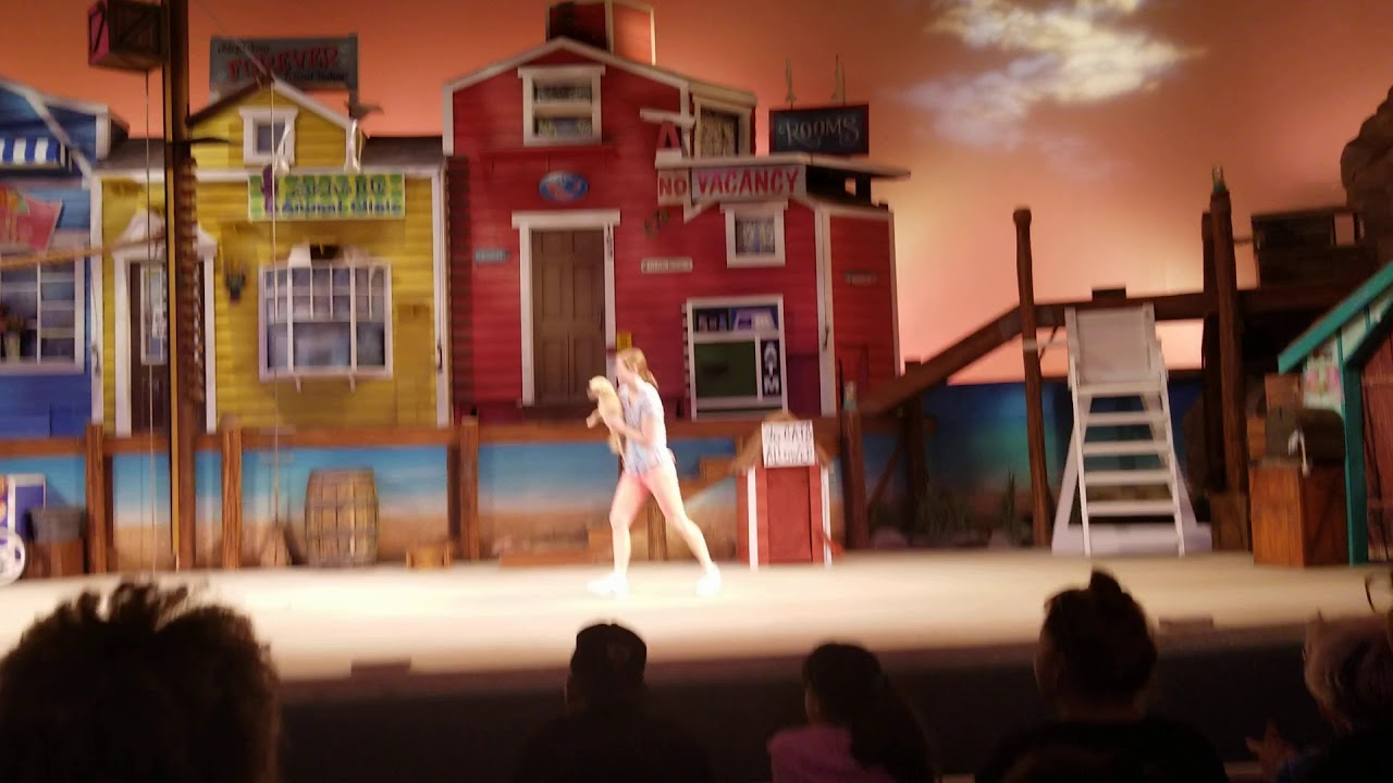 Pets Ahoy show at SeaWorld - YouTube