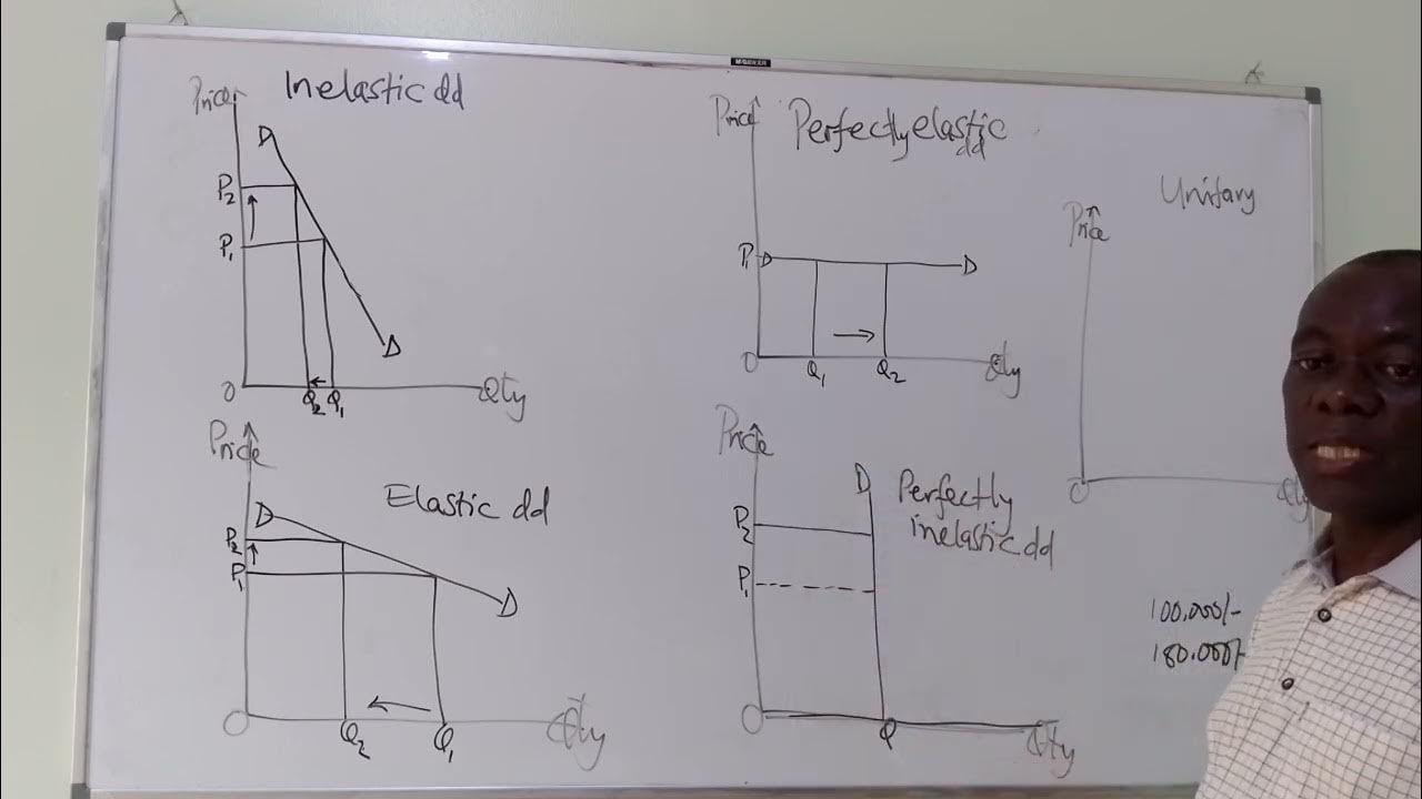 Calculating Elasticity: A Practical Guide - YouTube