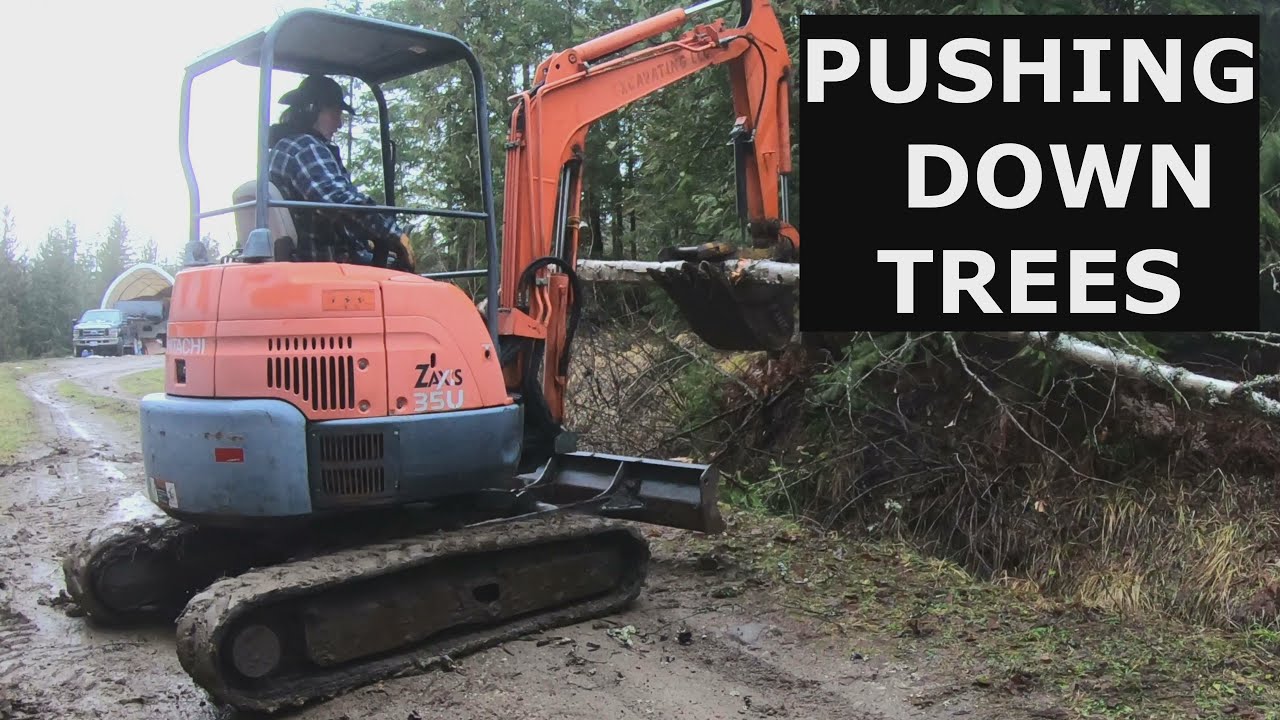 Mini Excavator pushing down Birch Trees. - YouTube
