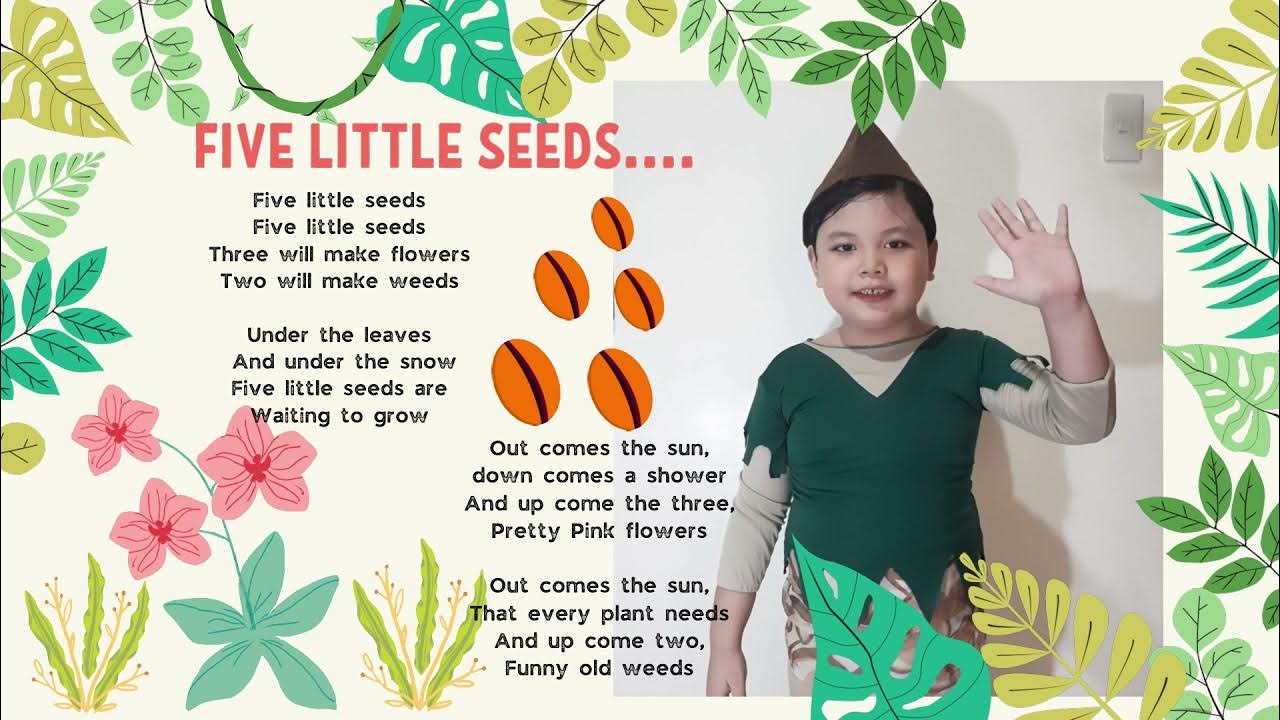 Five Little Seeds - Poem - YouTube