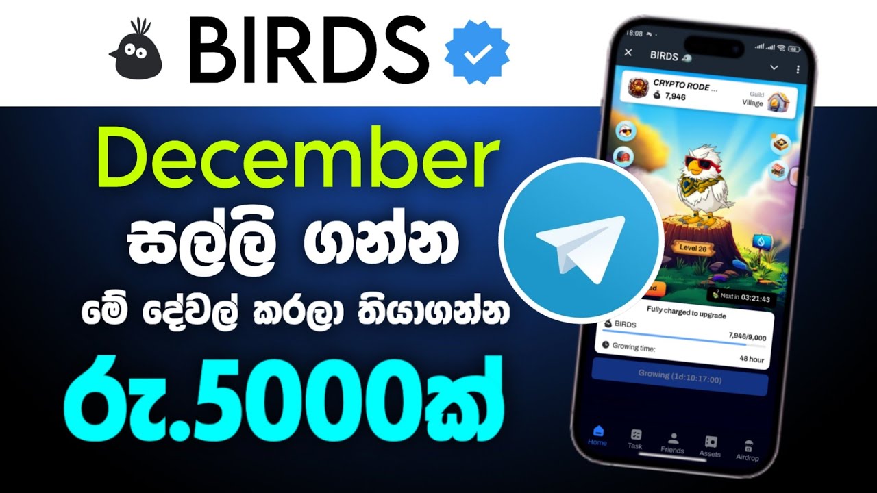 December වල සල්ලී ගන්න පුලුවන්| Birds Airdrop Sinhala| Birds Airdrop Withdraw Update| Earn birds ...