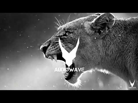 BVRNOUT - Apache