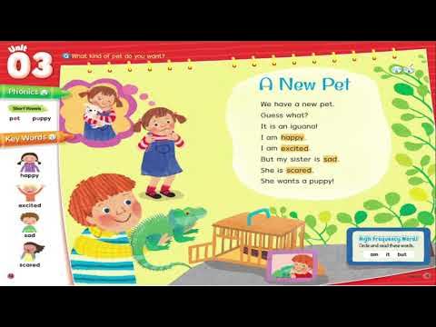 Unit 3. A new pet - YouTube