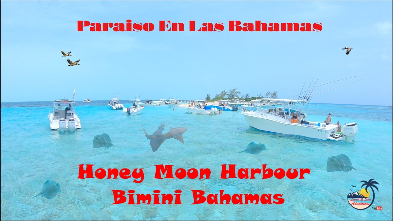 Honey Moon Harbour Gun Cay Bahamas - YouTube