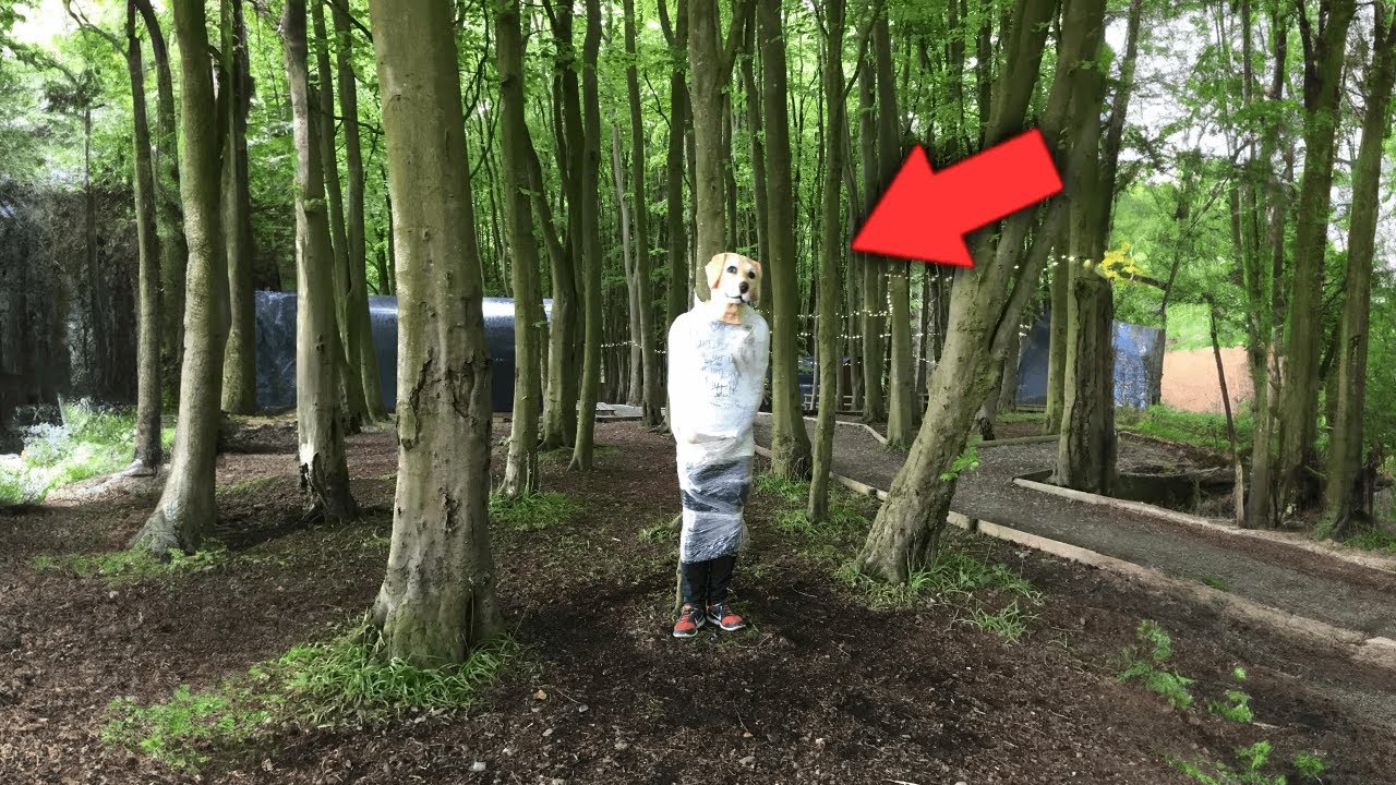 10 Scariest Things Found in a Forest! - YouTube