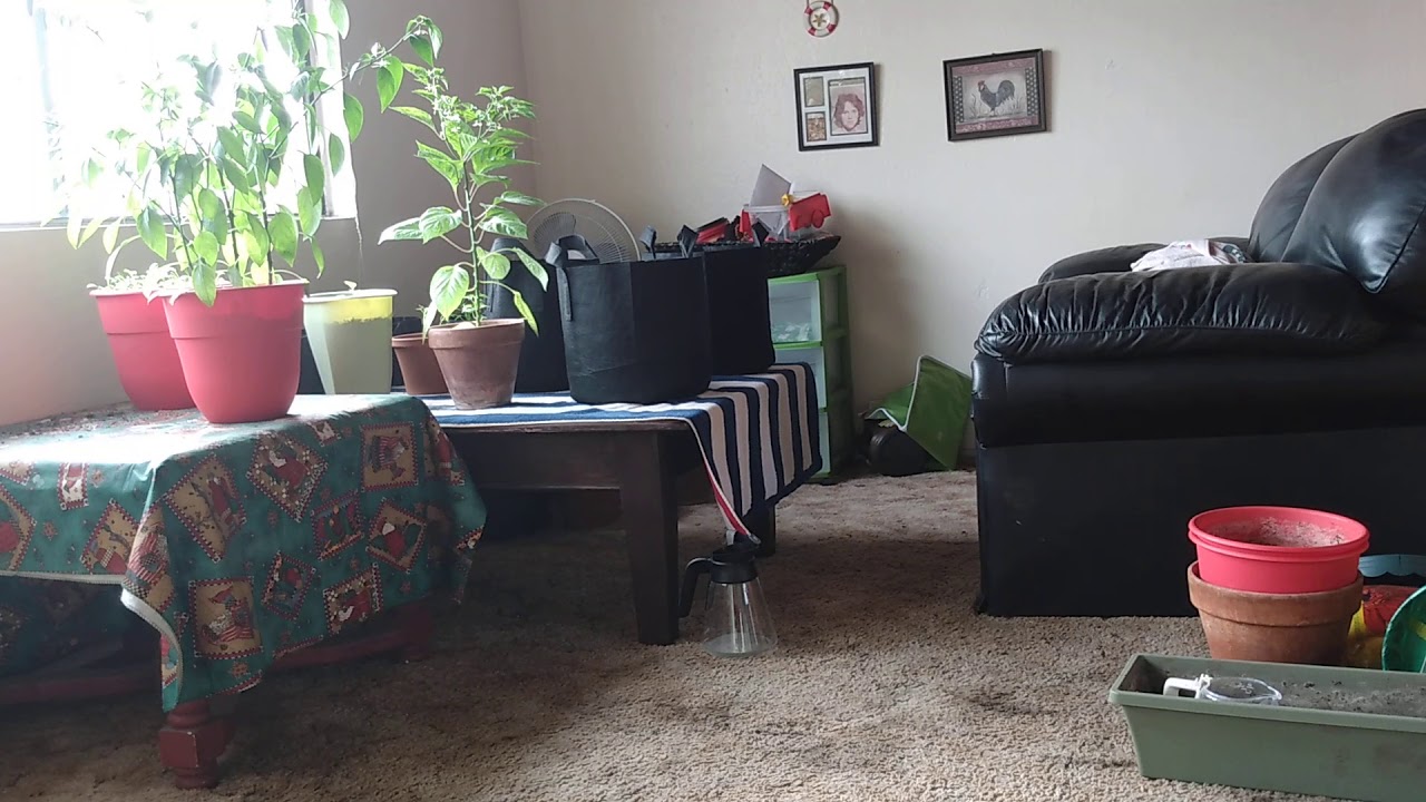 Quick little update. - YouTube