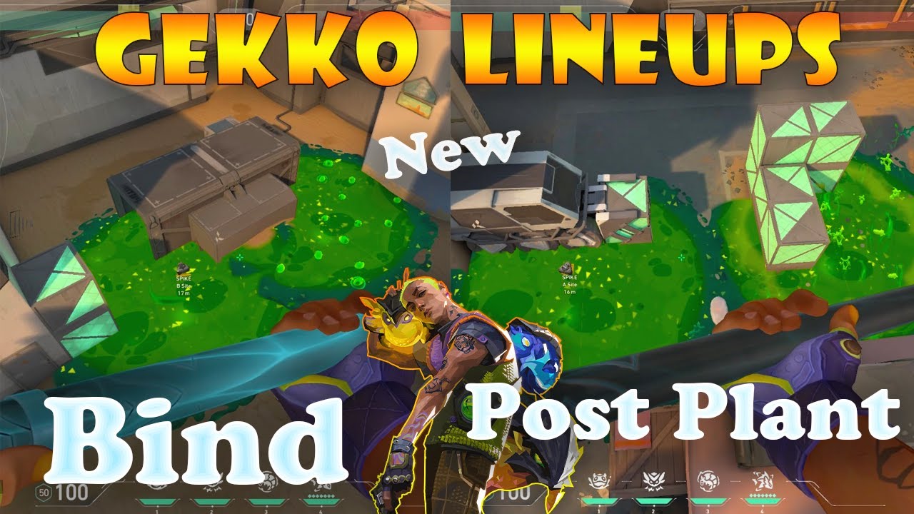 New Top 15 Bind Gekko Post Plant Lineups | Gekko Lineups Bind | Gekko ...