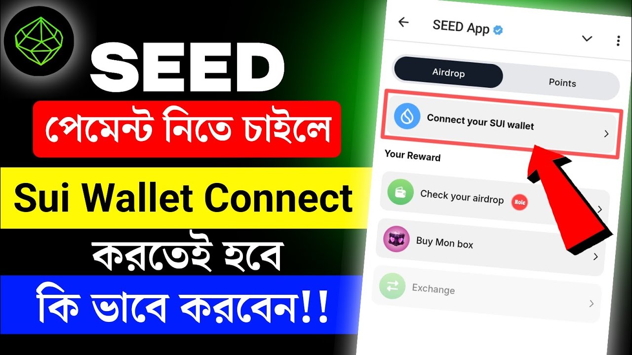 Seed Sui Wallet Connect | Seed Airdrop Update | Seed Moon Box | Seed Listing Date - YouTube