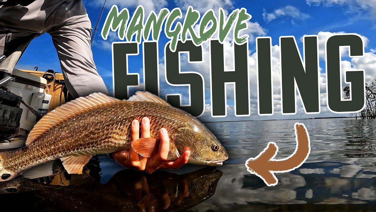 Sight Casting Redfish and More at Emerson Point Preserve, FL - YouTube