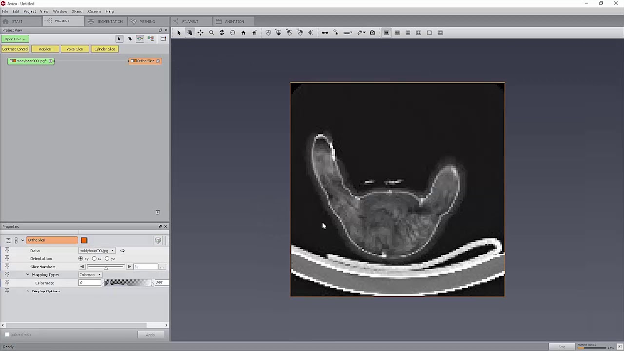 Amira-Avizo Software | How to load image data - YouTube