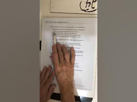 Benchmark unit 1 week Assessment review - YouTube