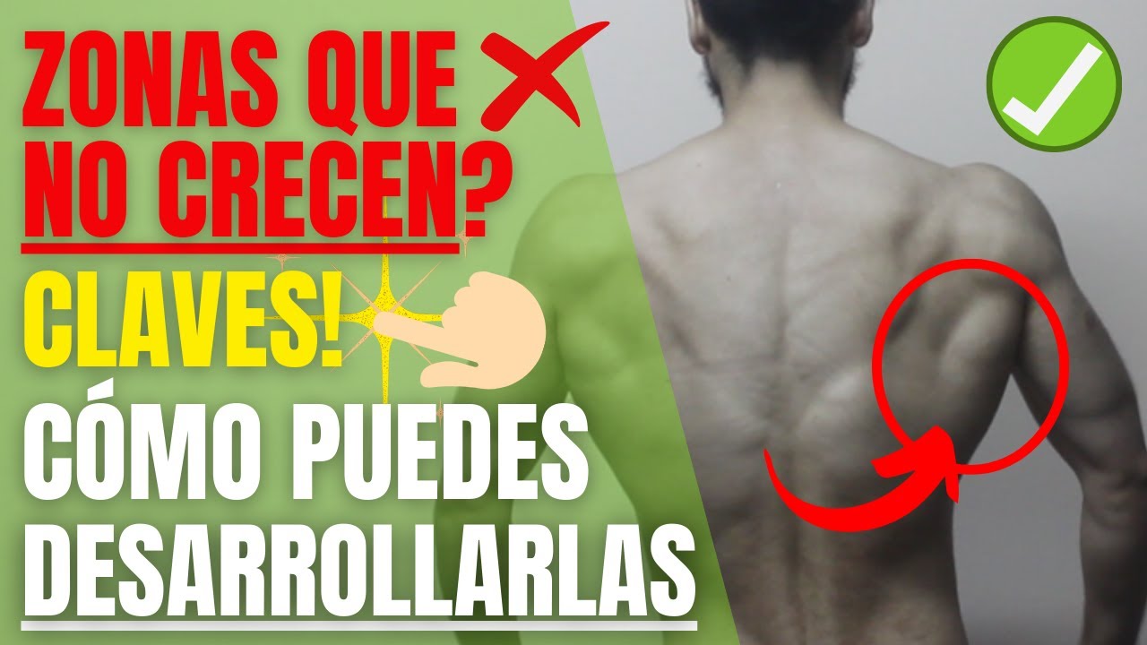Cómo Mejorar Tus Puntos Débiles? (Músculos Que NO Crecen!) - YouTube
