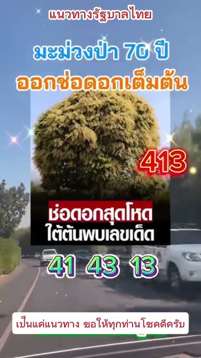 📣เลขเด็ดเลขดังมะม่วงป่า 16/2/68 #มะม่วง #เลขเด็ด #หวย #shorts #หวยไทย #สลากกินแบ่งรัฐบาล - YouTube
