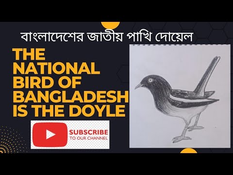 The national bird of Bangladesh is the Doyle (বাংলাদেশের জাতীয় পাখি ...