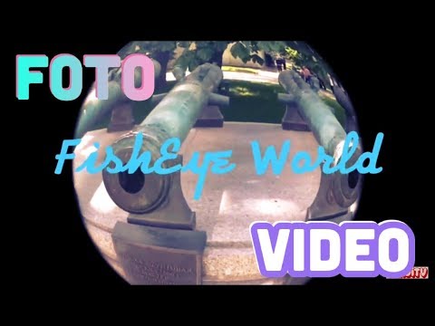 FishEye World:)! (directed by DiniDi)